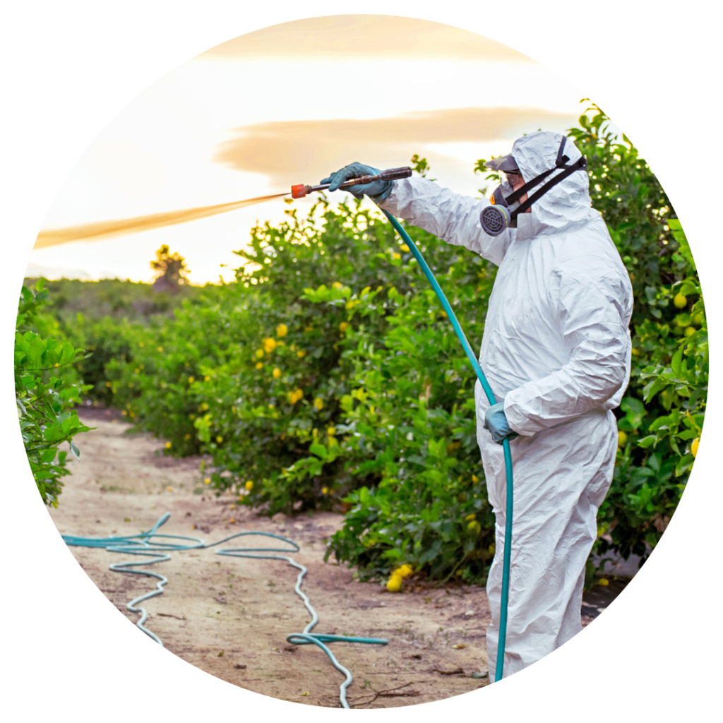 Agroquímicos y fertilizantes: ¿Cómo evitar el desperdicio y sobrecosto ...