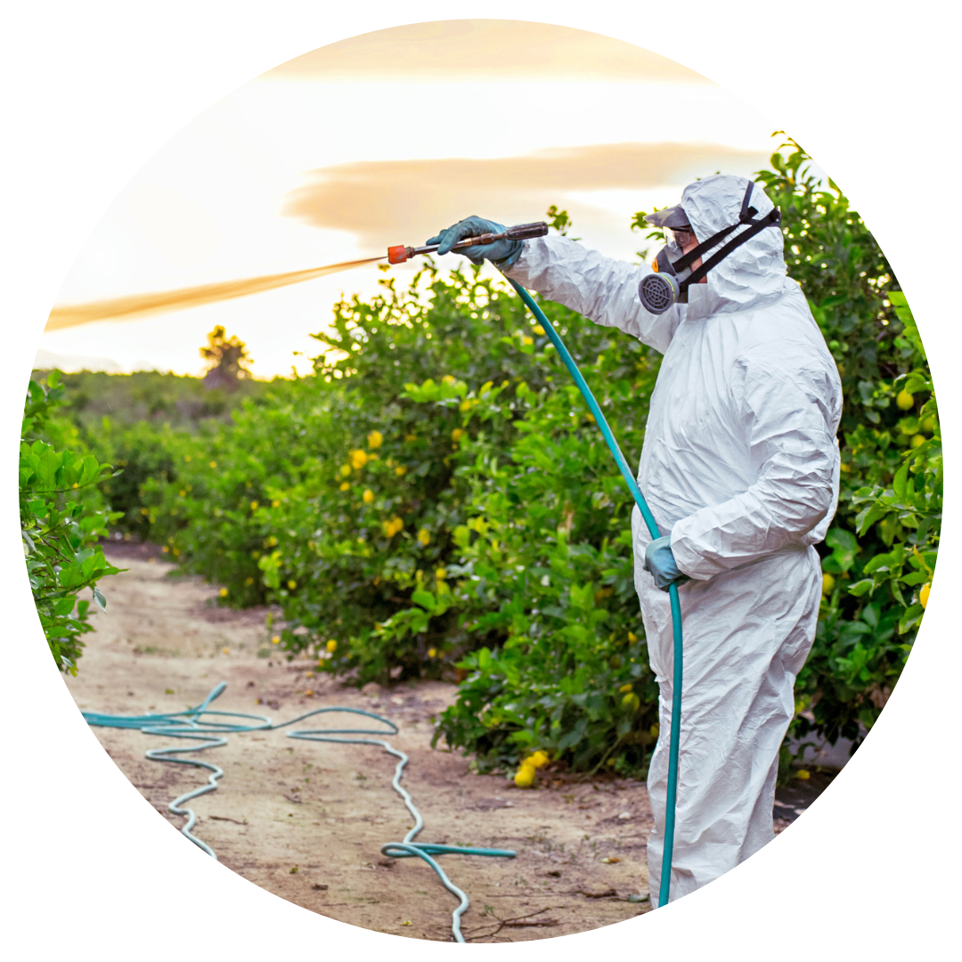 Agroquímicos y fertilizantes: ¿Cómo evitar el desperdicio y sobrecosto ...