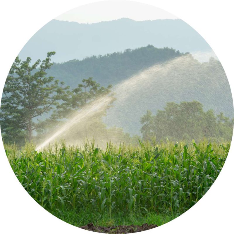 Riego Eficiente: Optimizando el Agua en la Agricultura - AGRI